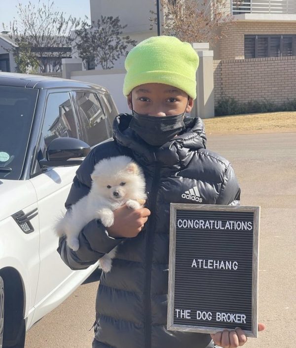 The Dog Broker | Bespoke Pet Services in South Africa