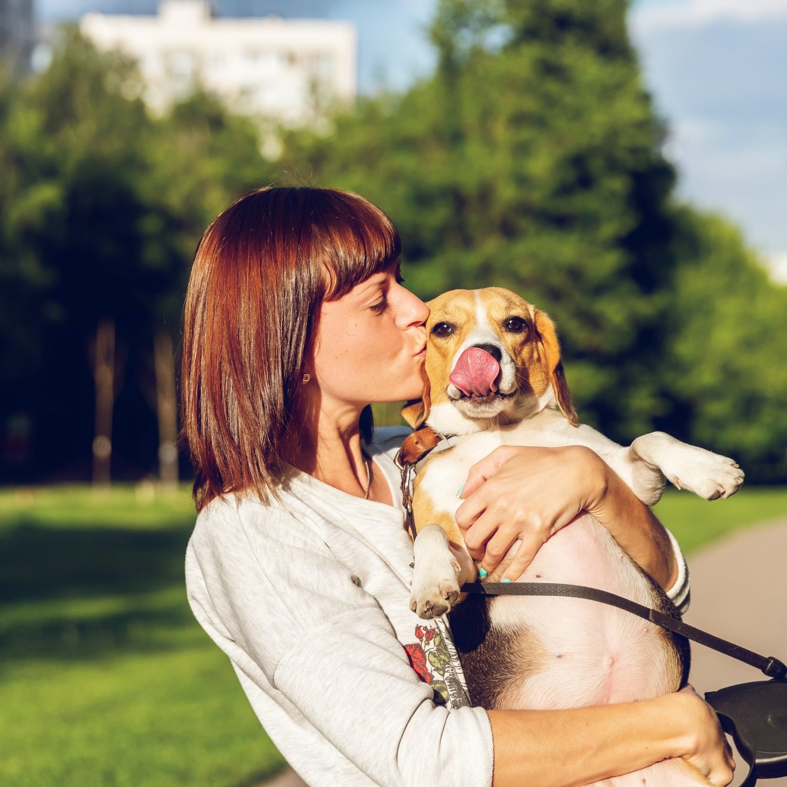 Adopting a dog for the first time: How to prepare | The Dog Broker SA