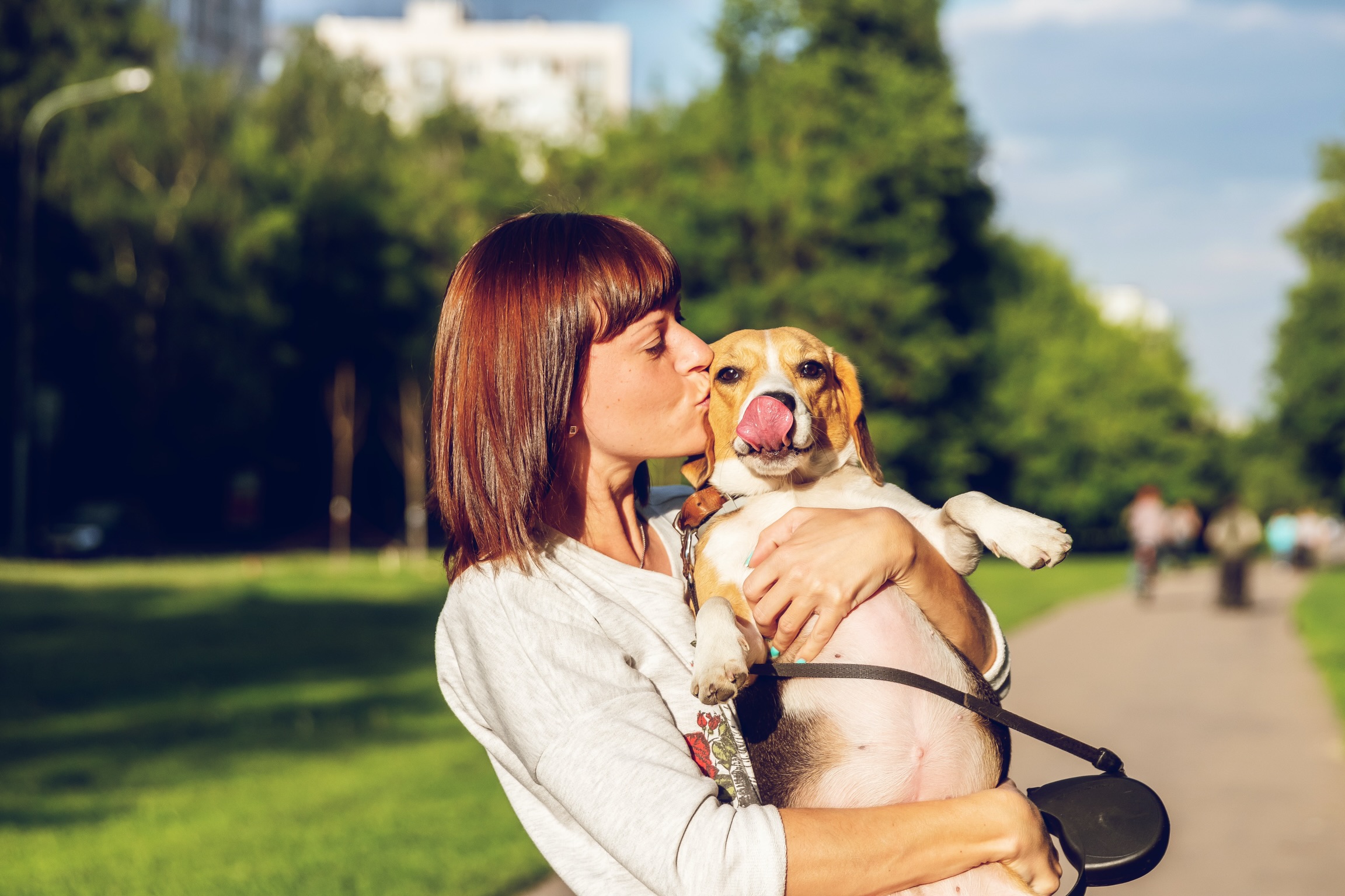 Adopting a dog for the first time: How to prepare | The Dog Broker SA